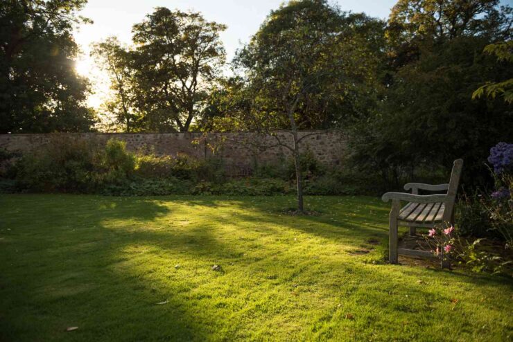 Green Thumbs Up: Tips and Techniques for Creating Stunning Landscapes ...