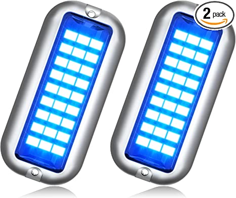 7 Best Flounder Gigging Lights Things To Look For 2024 - Radar Makassar